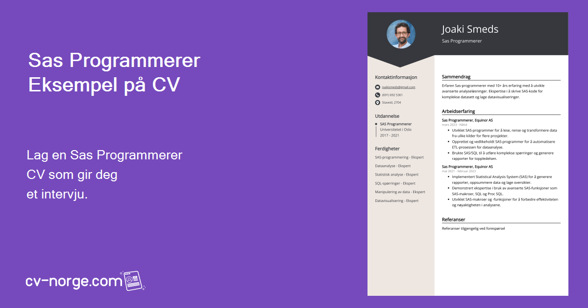 Sas Programmerer CV-eksempler (mal og 20+ tips)